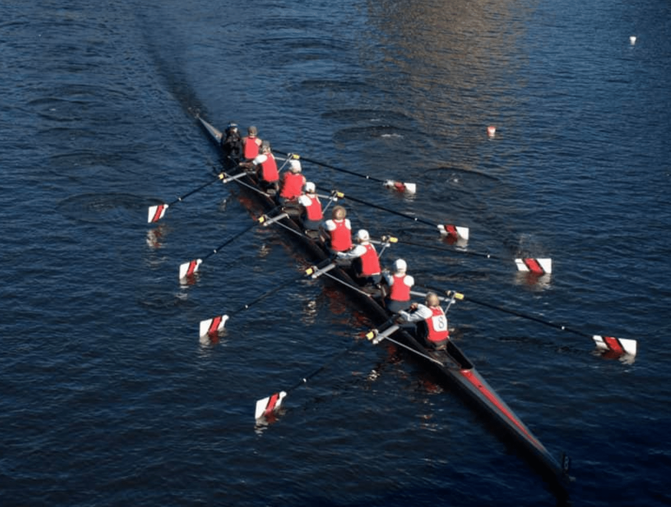 Newsletter - Faster Masters Rowing™