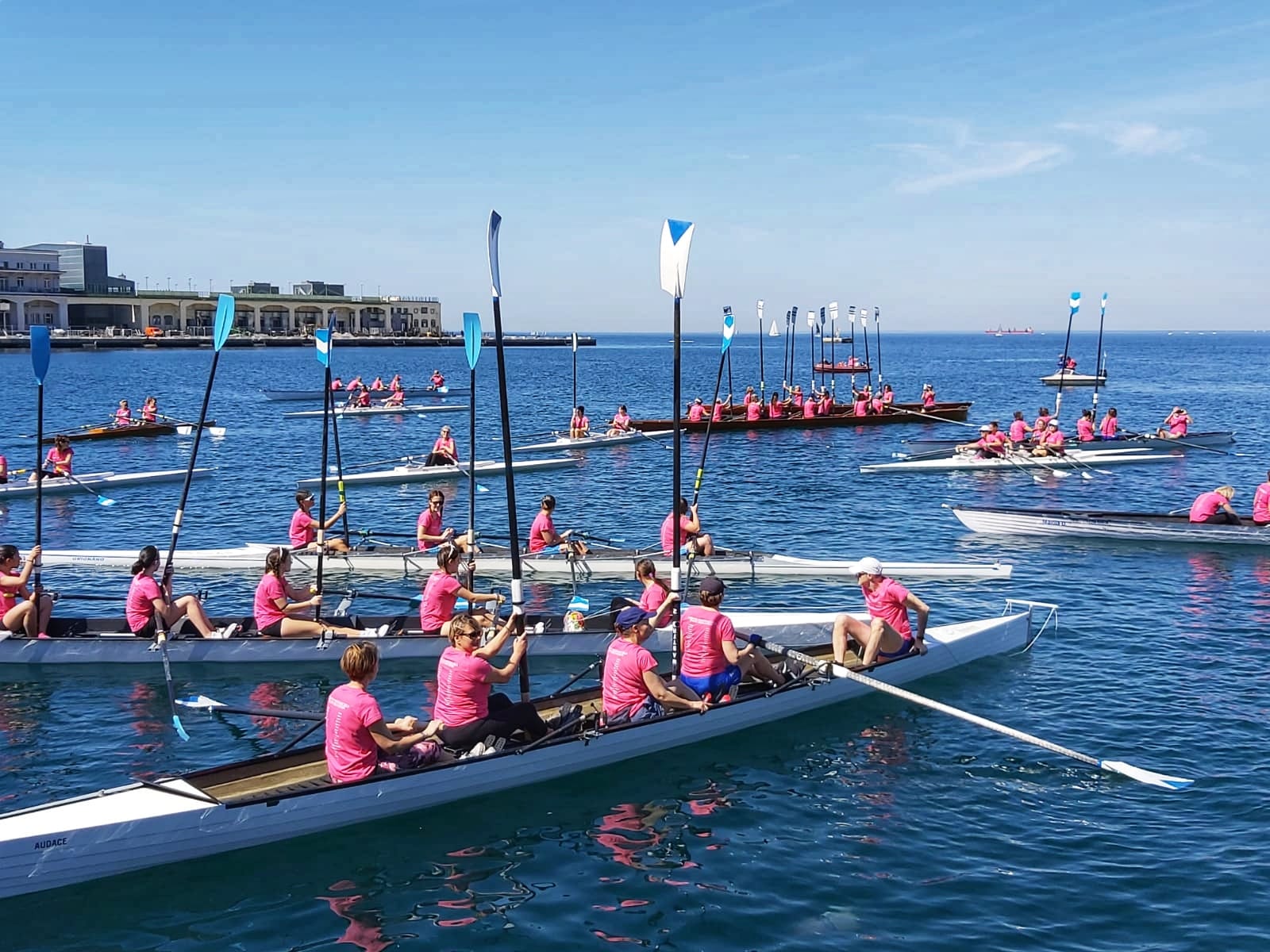 Masters Rowing Photos - Faster Masters Rowing™